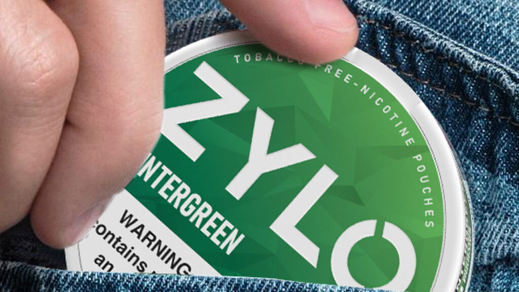 5 Facts About Nicotine Pouches You Need to Know | ZYLO