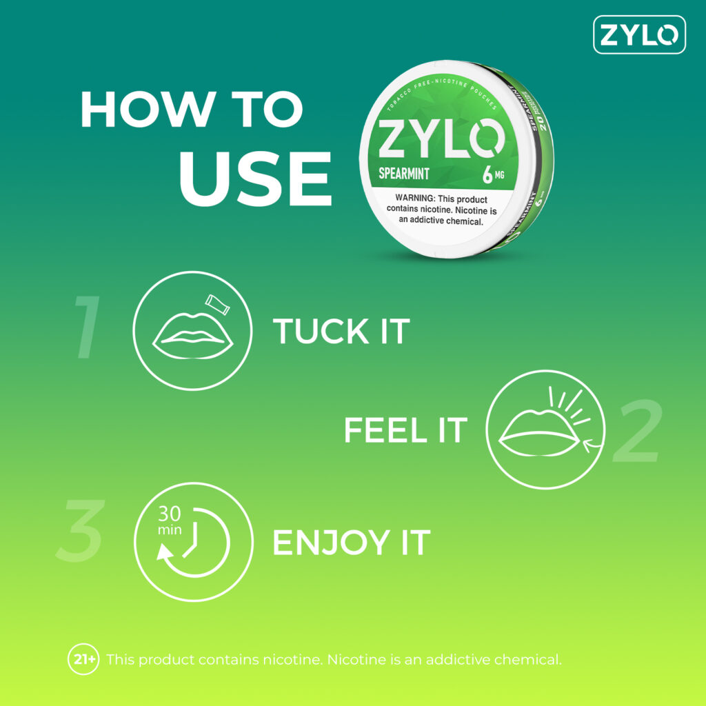 Mixed 10 Cans - Free Shipping - ZYLO | Nicotine Pouches
