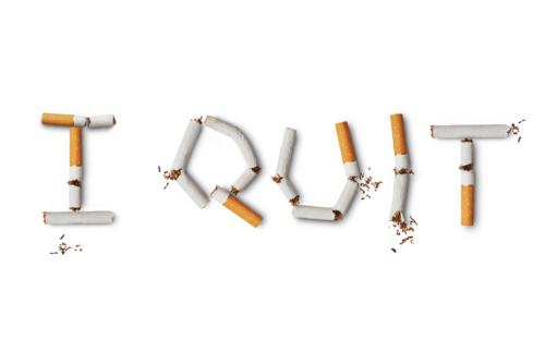 Clarifying Nicotine Pouches Ingredients: What You Need to Kno